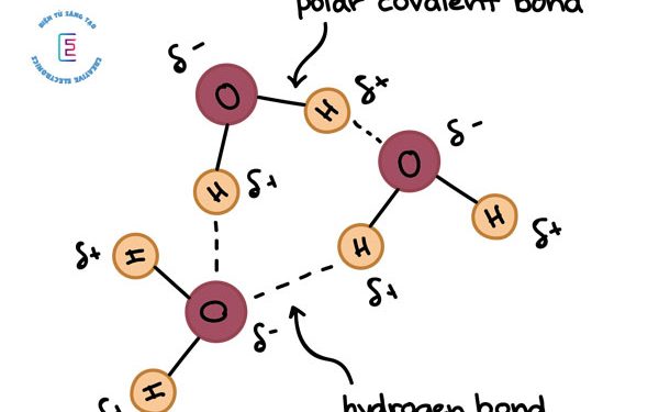 Liên kết hidro là gì? Tính chất đặc trưng, cấu tạo và công dụng – Điện ...